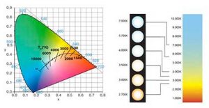 All-In-One Guide To Tunable White LED Lighting - LEDdynamics