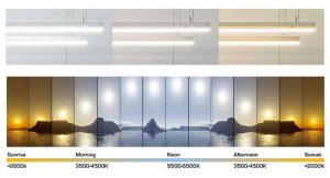 All-In-One Guide To Tunable White LED Lighting - LEDdynamics